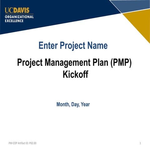 Project Management Presentation Template.pdf