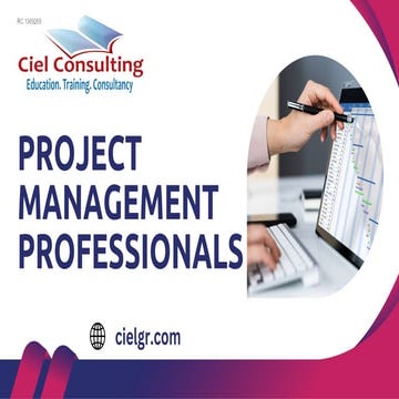 Best Project Management Professionals For You | PPT