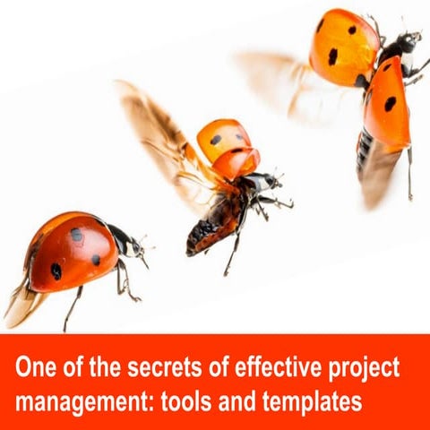 Project management tools and templates | PPT | Free Download