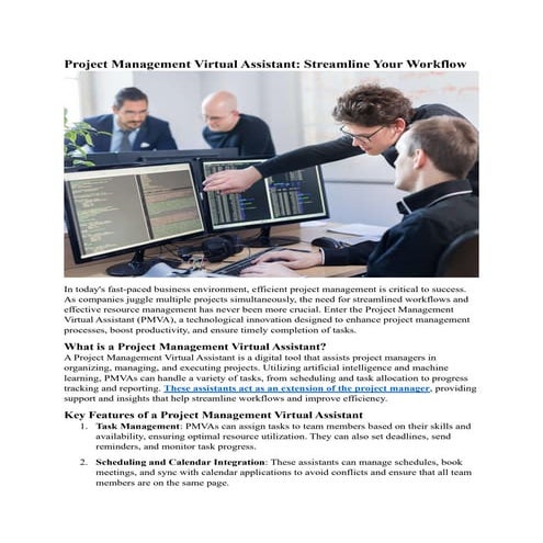 Project Management Virtual Assistant.pdf