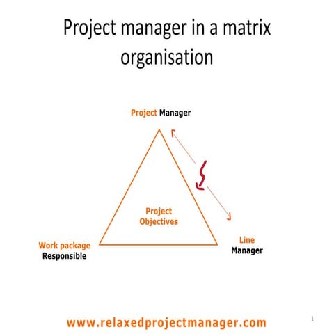 Projectmanager in a matrix organisation | PPTX