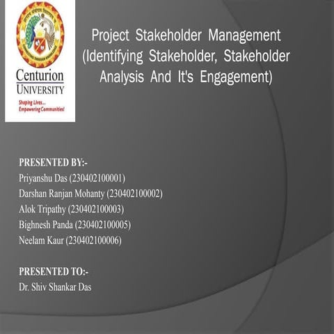 Stakeholder Management in CDM | PDF