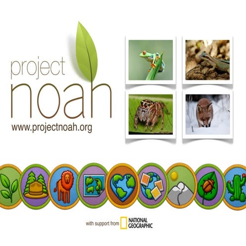 Yasser Ansari: Project NOAH | PDF