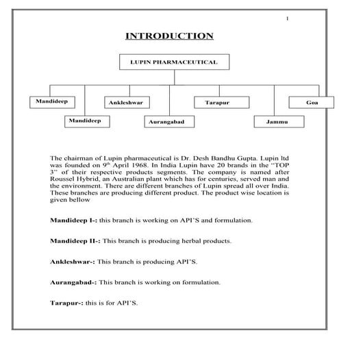 Project on lupin pharmaceutical(3) (1) | DOC