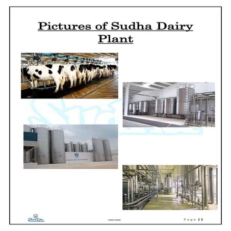 Bhagalpur Sudha Dairy Project, Project on Sudha Dairy Bhagalpur, Sudha ...
