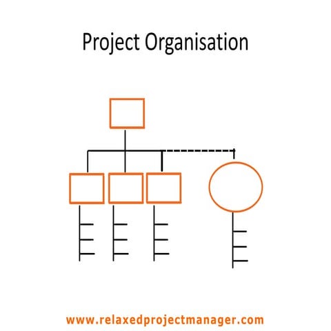 Project organisation | PPT