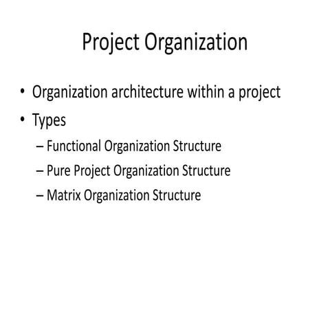Project organization | PPTX | Business and Finance