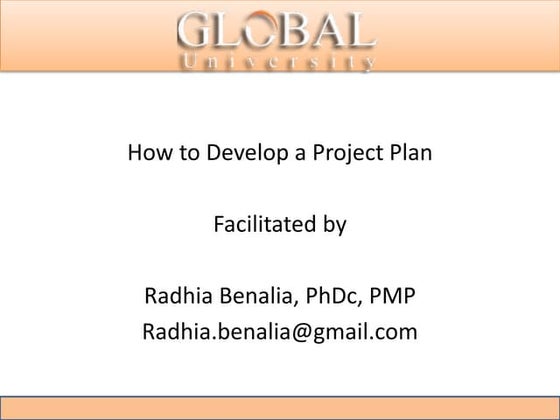 Develop Project Management Plan Data Flow Diagram | PDF