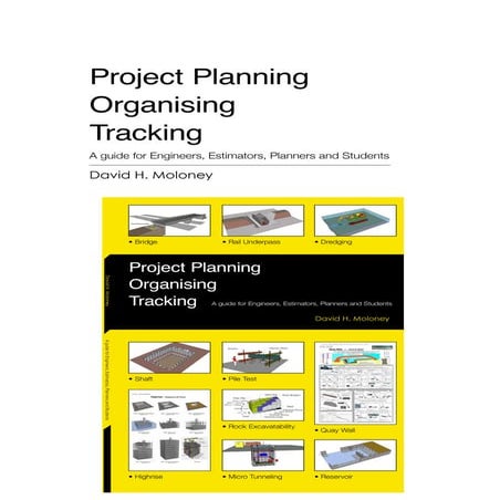 Project Execution Plan for Bridge Construction | PDF