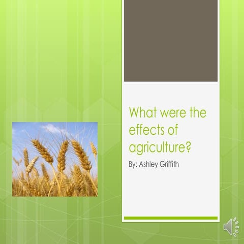 Project presentation on agriculture | PPTX | Agriculture | Industries