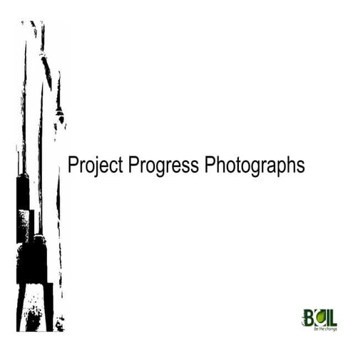 Aug Project Pictures for Collective | PDF