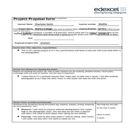 Project Review Form