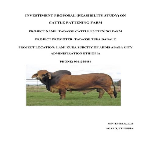 Transportation lesson | PPT