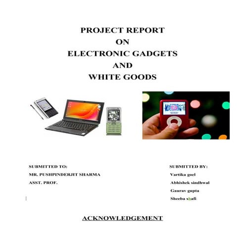 Project Report Pdf 9192