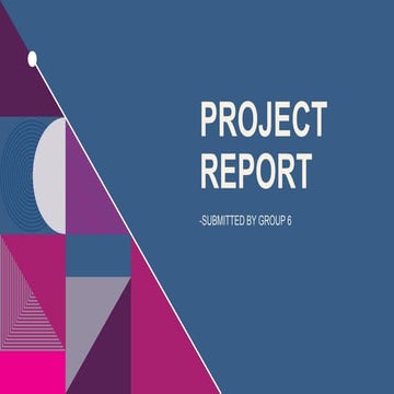 PROJECT REPORT.pptx