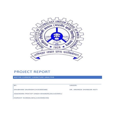Project report 1 | PDF