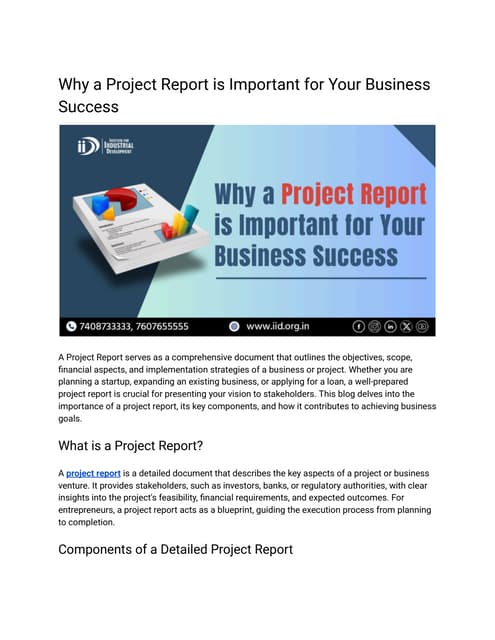 Project Report & Business Funding infographics | PDF
