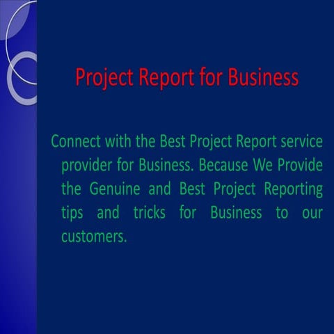 Project report for business | PPT