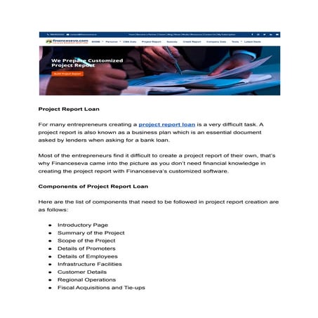 Project Report For Loan | PDF