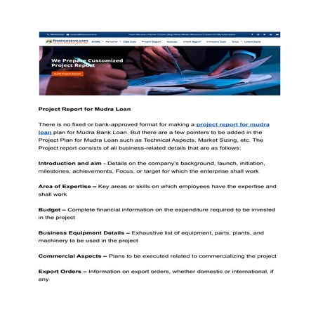 Project Report For Mudra Loan | PDF
