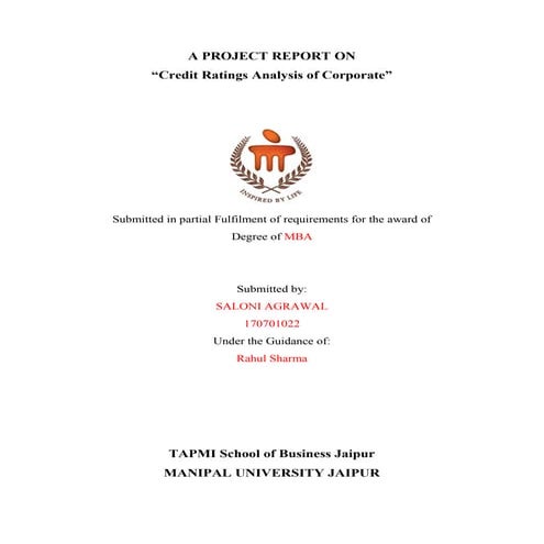 Project report on credit analysis | PDF