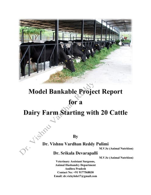 How to start a successful dairy farm | PDF