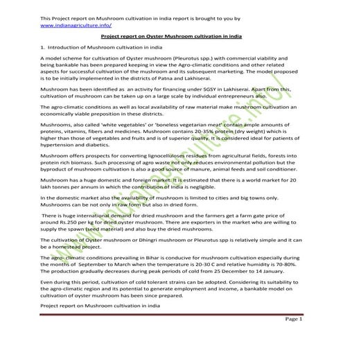 Project report on mushroom cultivation in india | Oyster Mushroom ...