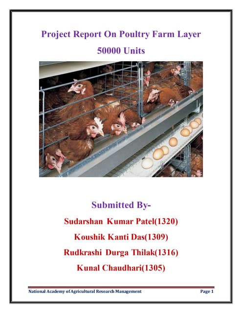 Beginners Guide to Layer Poultry Farming | PDF