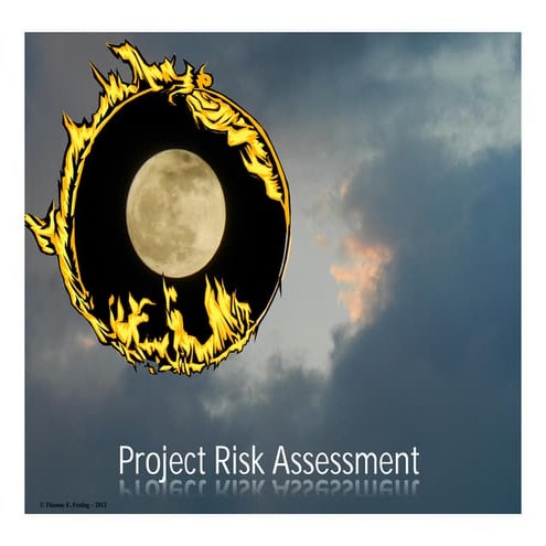 Project risk assessment presentation feb 2013 | PPT
