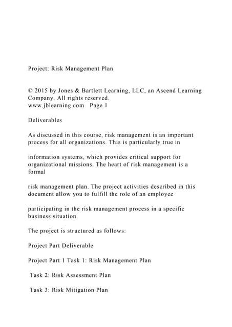 Project Risk Management PlanPurposeThis project provides | PDF