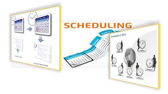 How to change working days and time in MS Project? | PDF