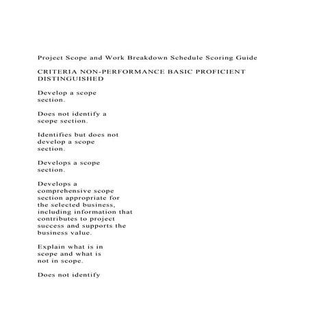 Project Scope and Work Breakdown Schedule Scoring GuideCRI.docx