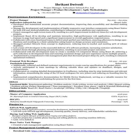 Program Manager - Roles & Responsibilities.pdf