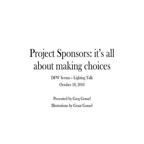 Project sponsor choices | PDF