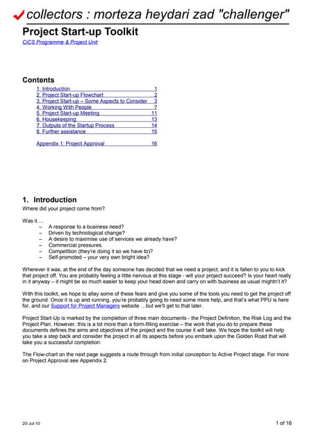 ERP/SAP Project Charter | DOCX