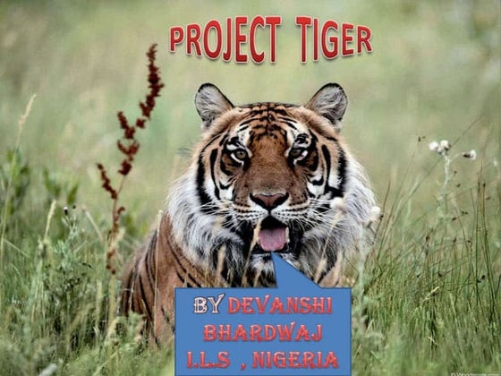 Zoo management system | PPT