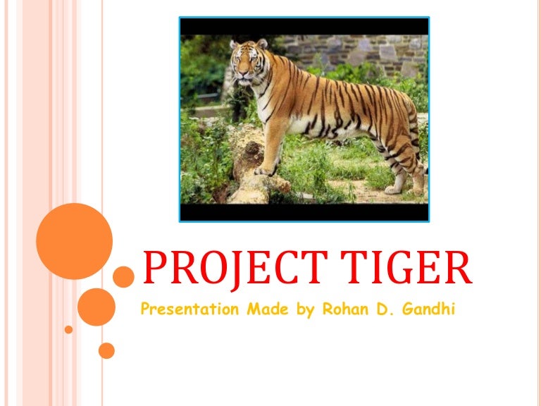 Project tiger