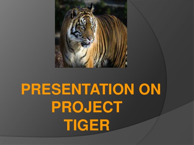 Project Tiger