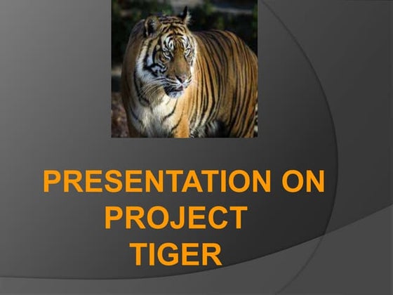 Project tiger | PPTX