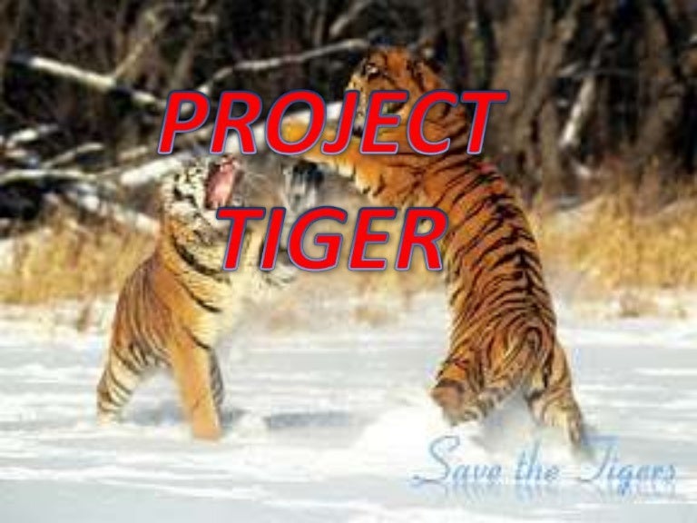 Project tiger