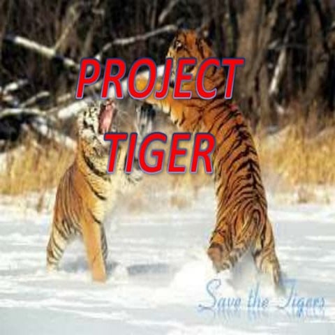 Project tiger | PPTX