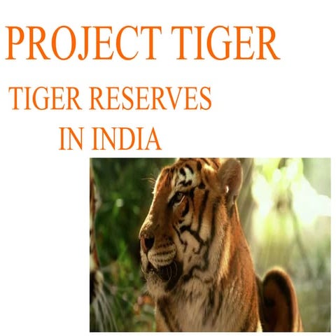 Project tiger | PPTX