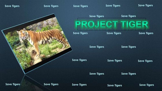 Himalayan musk deer ecology and conservation project | PPT