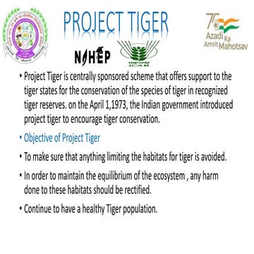 project tiger.pptx