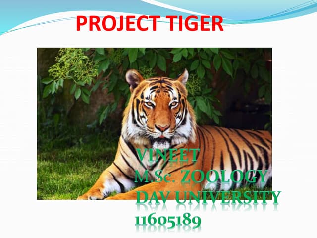 PROJECT TIGER ppt. | PPTX | Large Animals | Pets