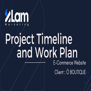 Project Timeline and Work Plan for 2LAMARKETING - .pdf
