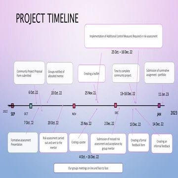 Project timeline for PebblePad.pptx