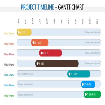 Project Timelines.pptx