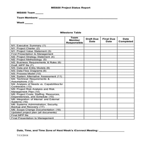 Project weekly team status report | PDF