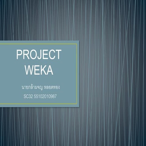 Project Weka | PPTX